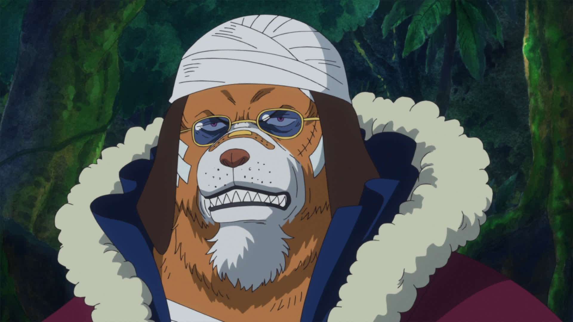 One Piece - Saga 11 : Zo Épisode 767 : Une situation explosive. Le chat ...