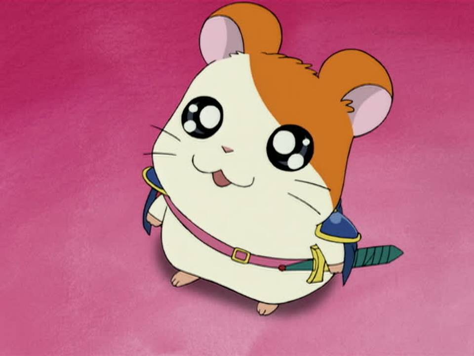 Hamtaro - 1 Épisode 26 : La Légende d’Hamtaro l’intrépide - streaming ...