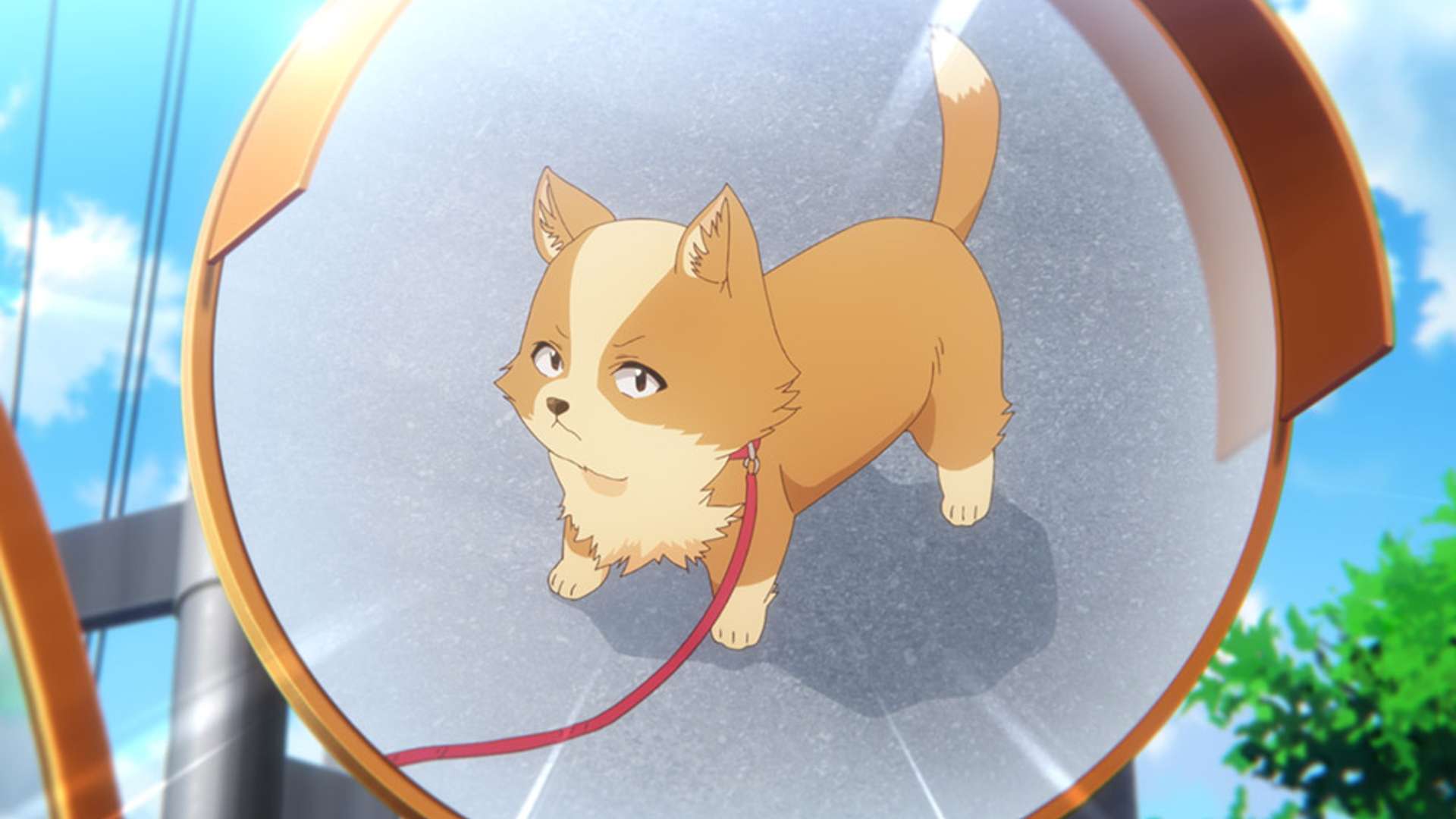 My Life as Inukai-san's Dog - 1 Épisode 2 : Promenade - streaming ...