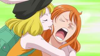 One Piece : Saga 11 - Zo - 18 Épisode 779 : Le retour de Kaido. La génération terrible menacée ...