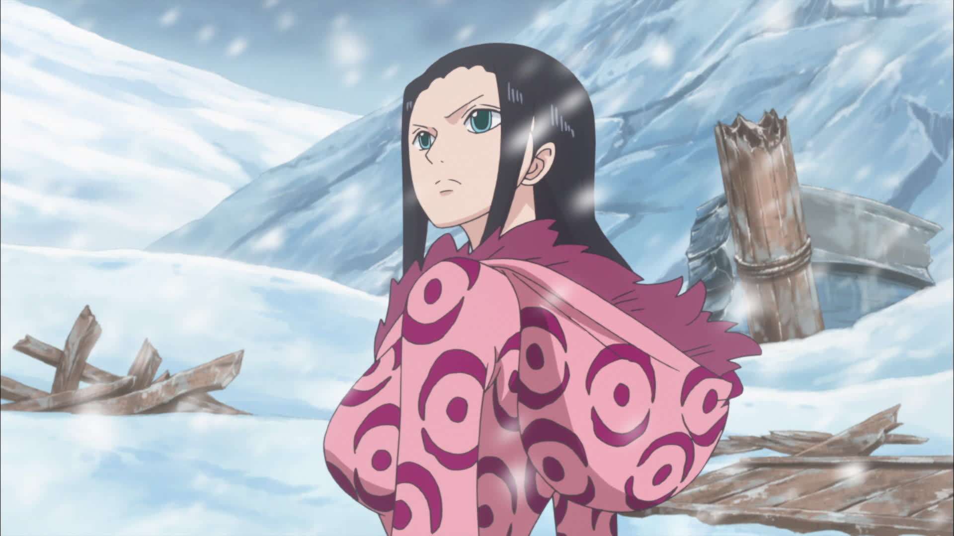 One Piece - Saga 9 : Punk Hazard Épisode 597 : Une bataille acharnée ...