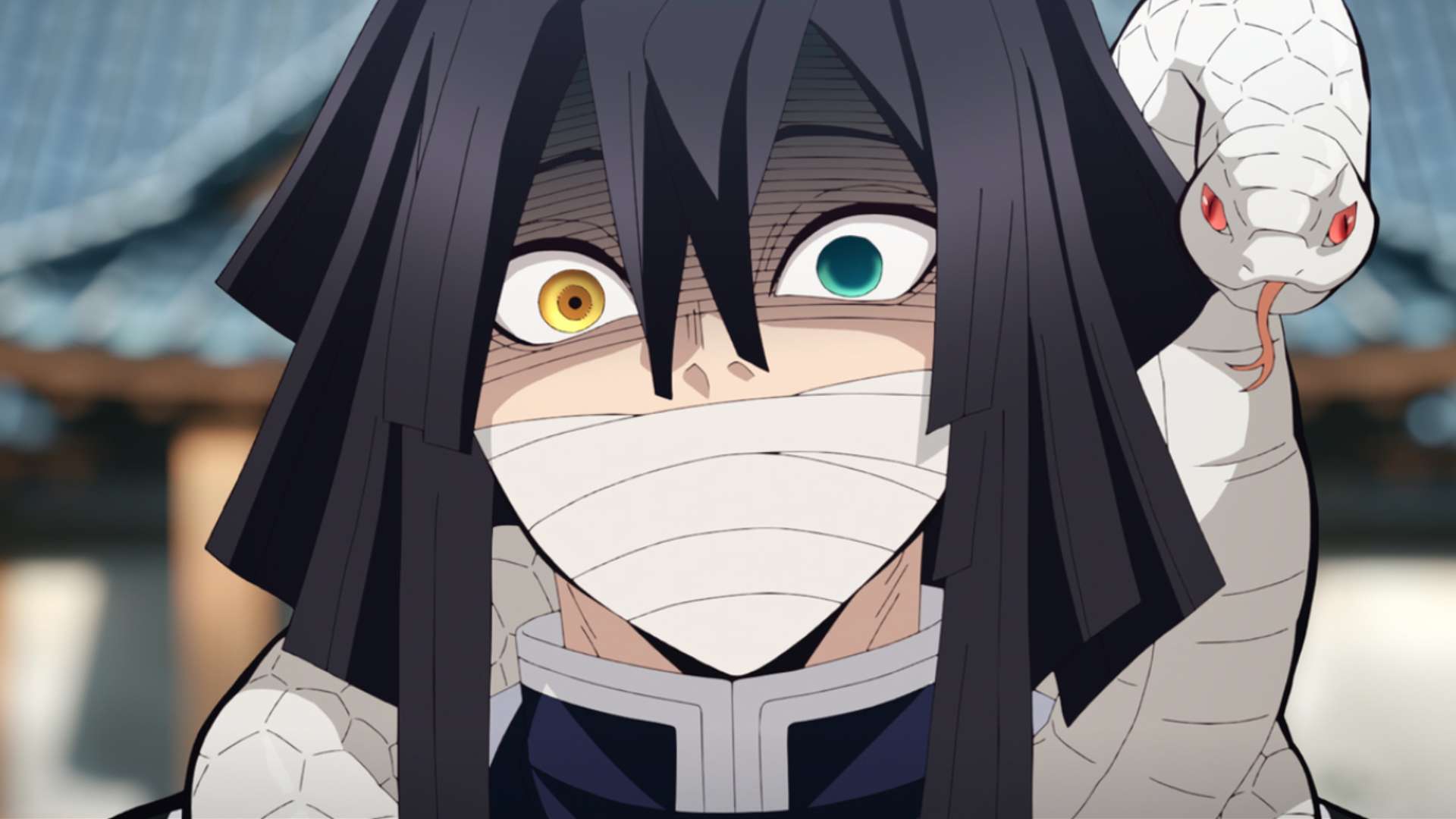 Demon Slayer: Kimetsu no Yaiba - Arc 5 : L'entraînement des piliers ...