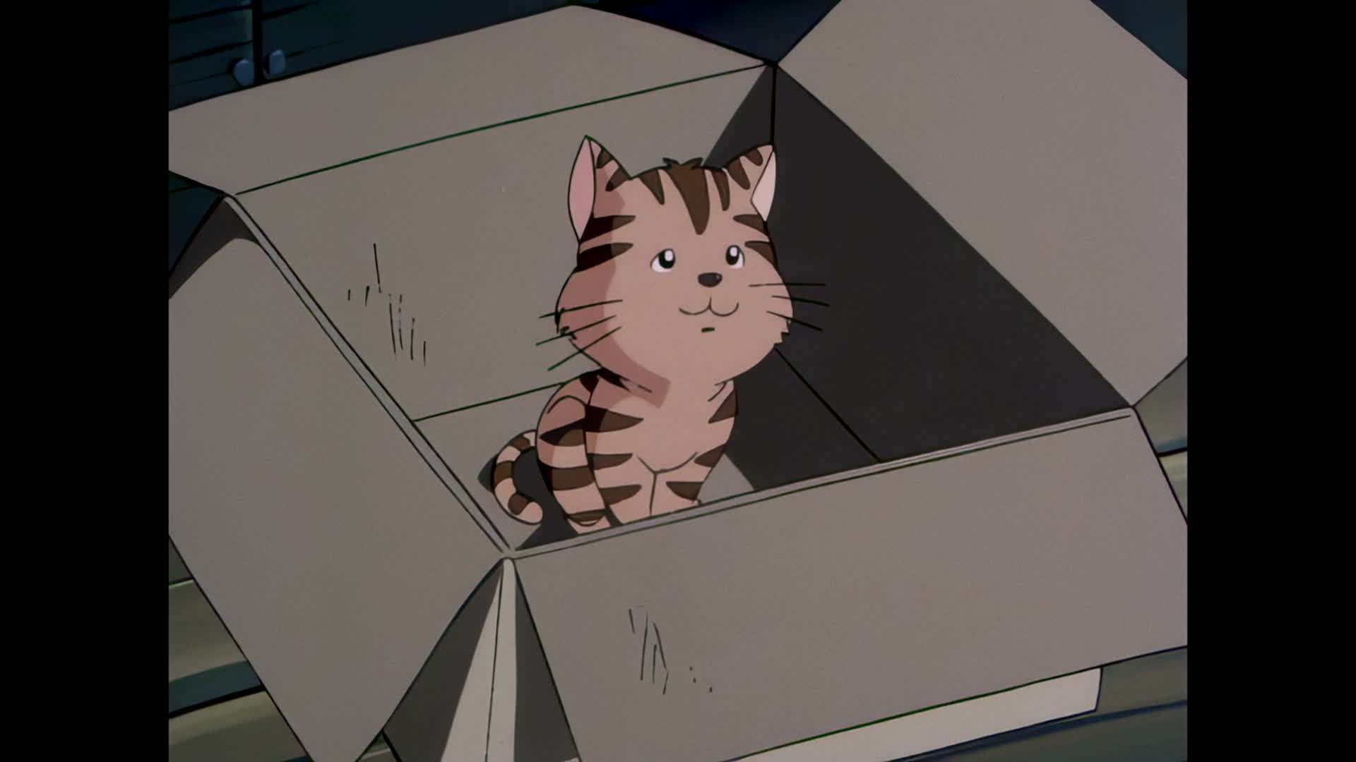 Albator 84 - 1 Épisode 16 : Le chat trouvé dans l’espace - streaming ...