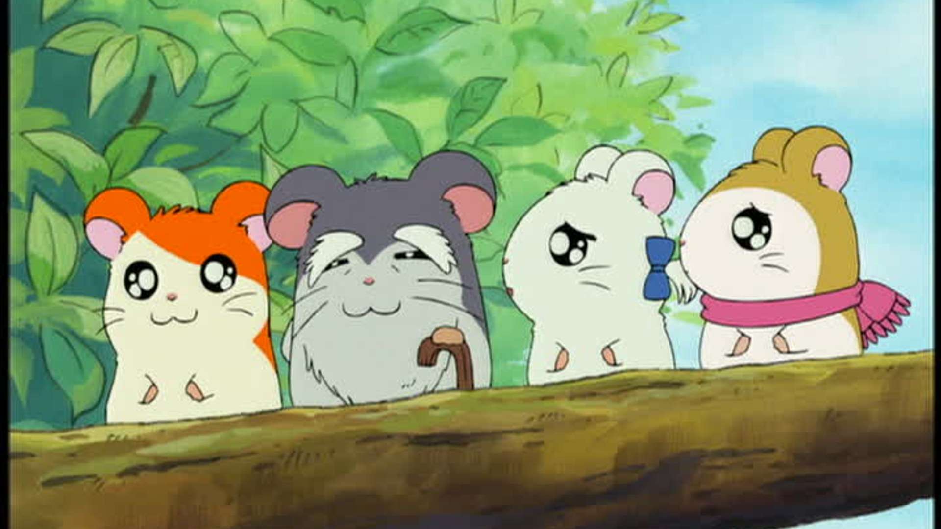 Hamtaro - 1 Épisode 11 : La Sagesse des anciens - streaming - VF - ADN