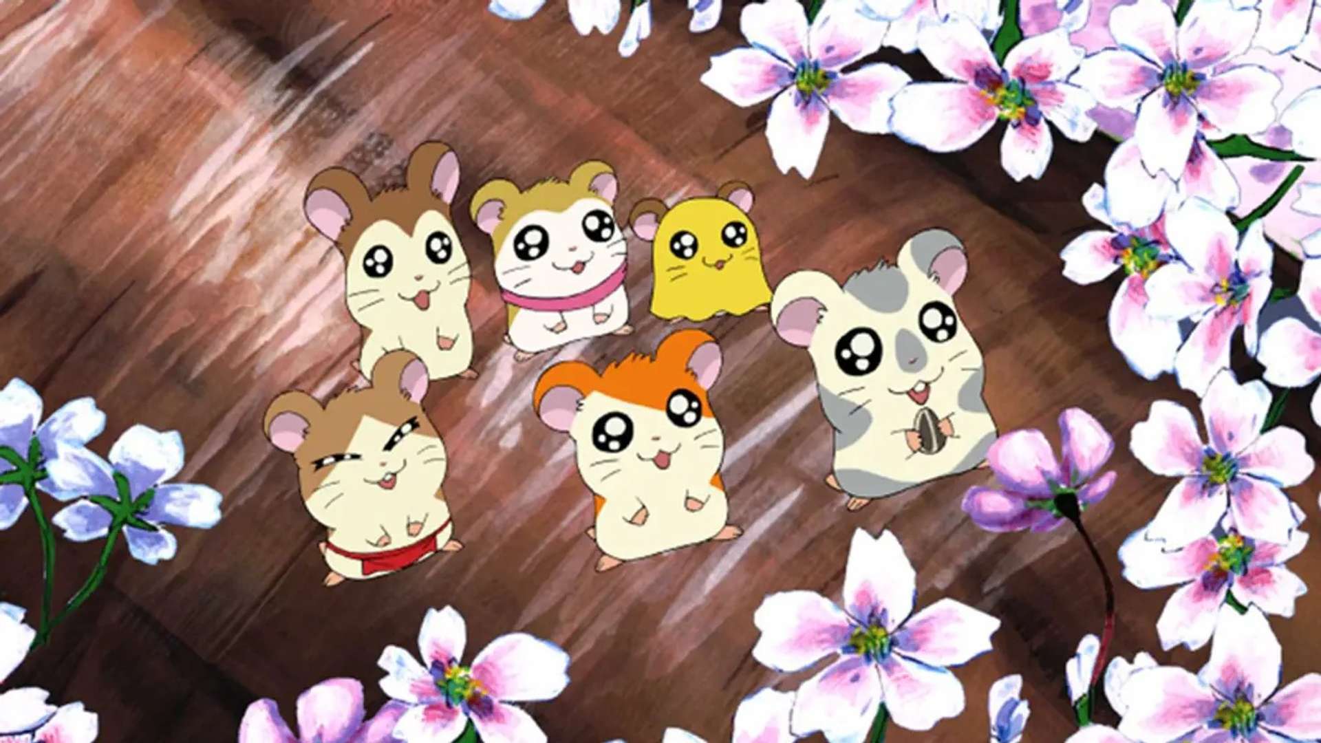 Hamtaro - 2 Épisode 40 : Les Cerisiers en fleurs - streaming - VF - ADN