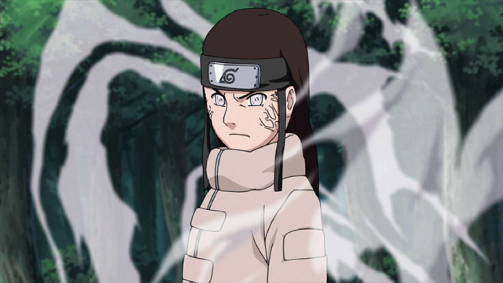 Naruto Shippuden - 8 Épisode 192 : Chroniques de Neji - streaming - VF ...