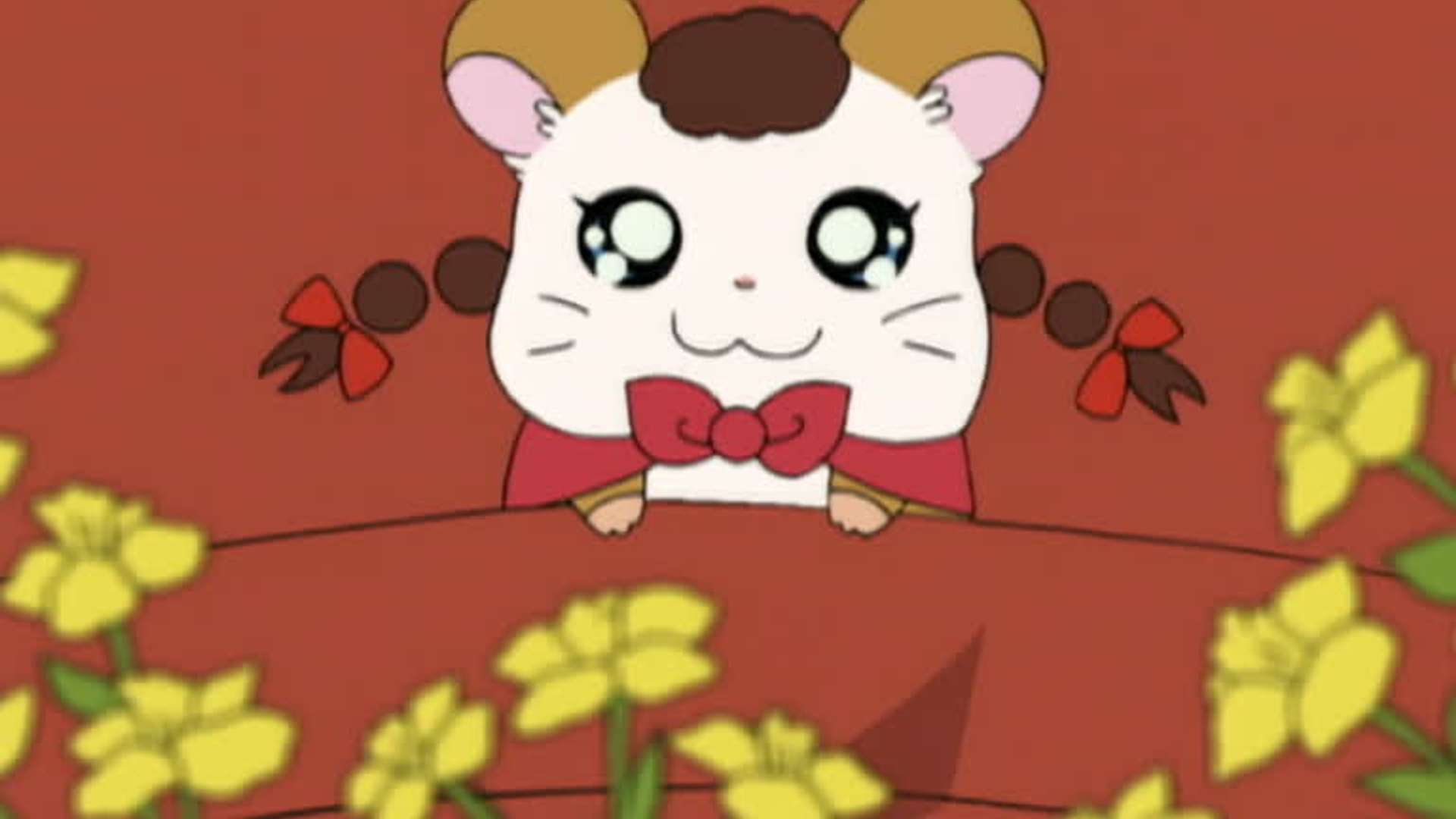 Hamtaro - 2 Épisode 37 : Hamidou est amoureux - streaming - VF - ADN